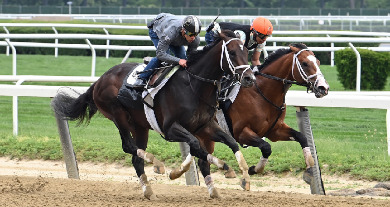Forte, Tapit Trice record final works for G1 Belmont Stakes | Belmont ...
